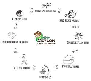 Ceylon Organic Spices - Premium Quality, Pure & Natural
